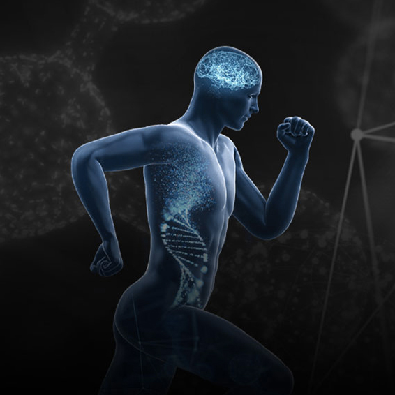 Human Health and Performance | Battelle