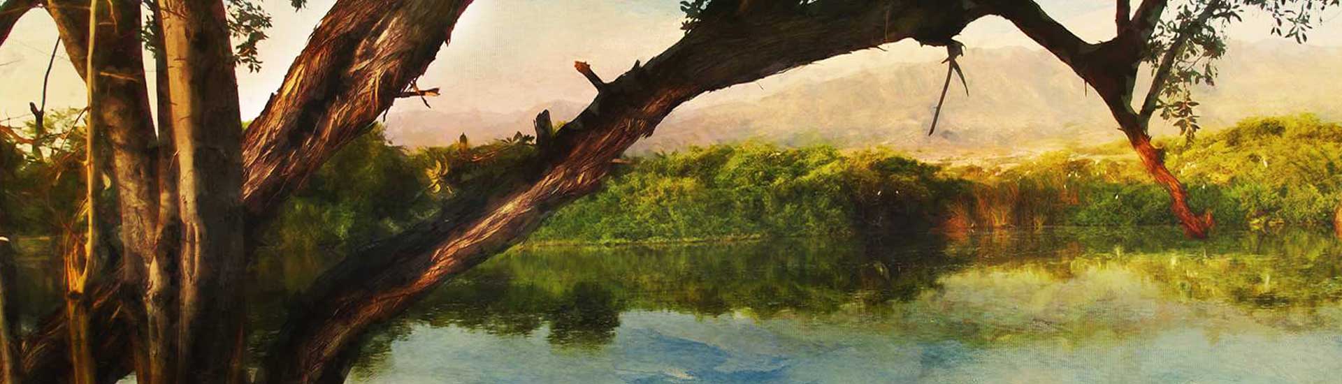 Case Studies | Battelle