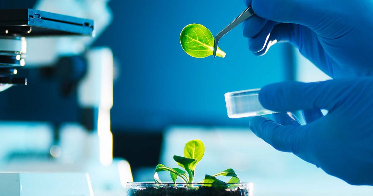 Crop Protection Product Safety Testing Services| Battelle